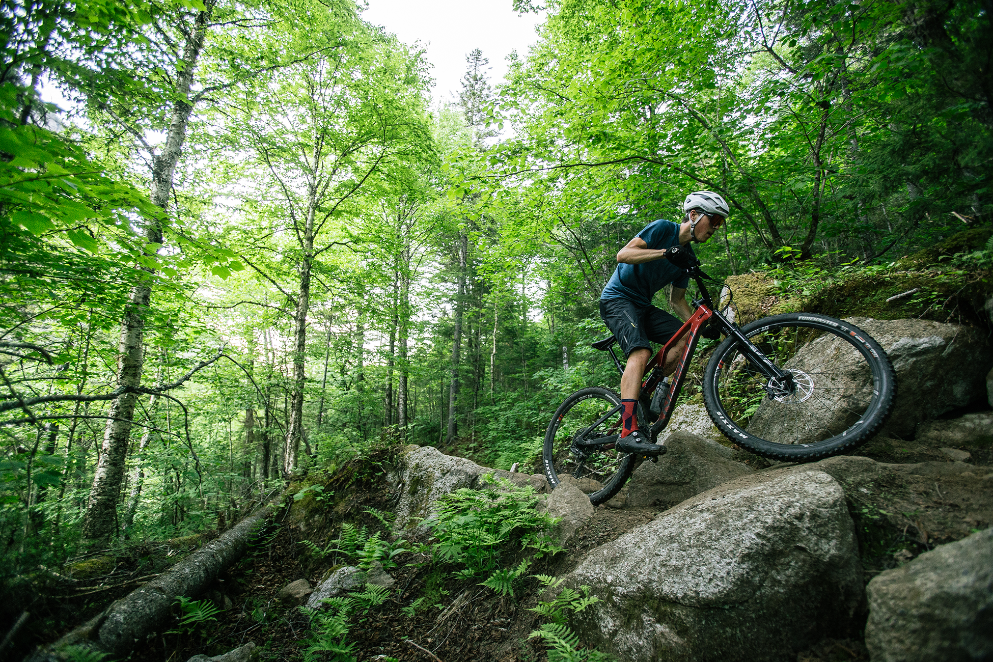 Mount Bikes – Mountbikesnz