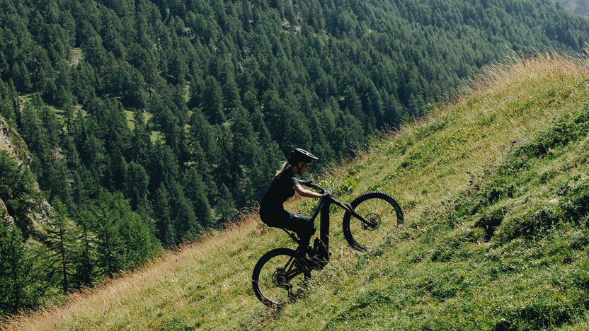 Focus – Mountbikesnz